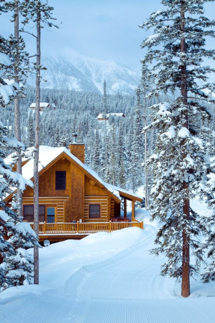 Cabañas de madera – propuestas encantadoras de cabañas del bosque